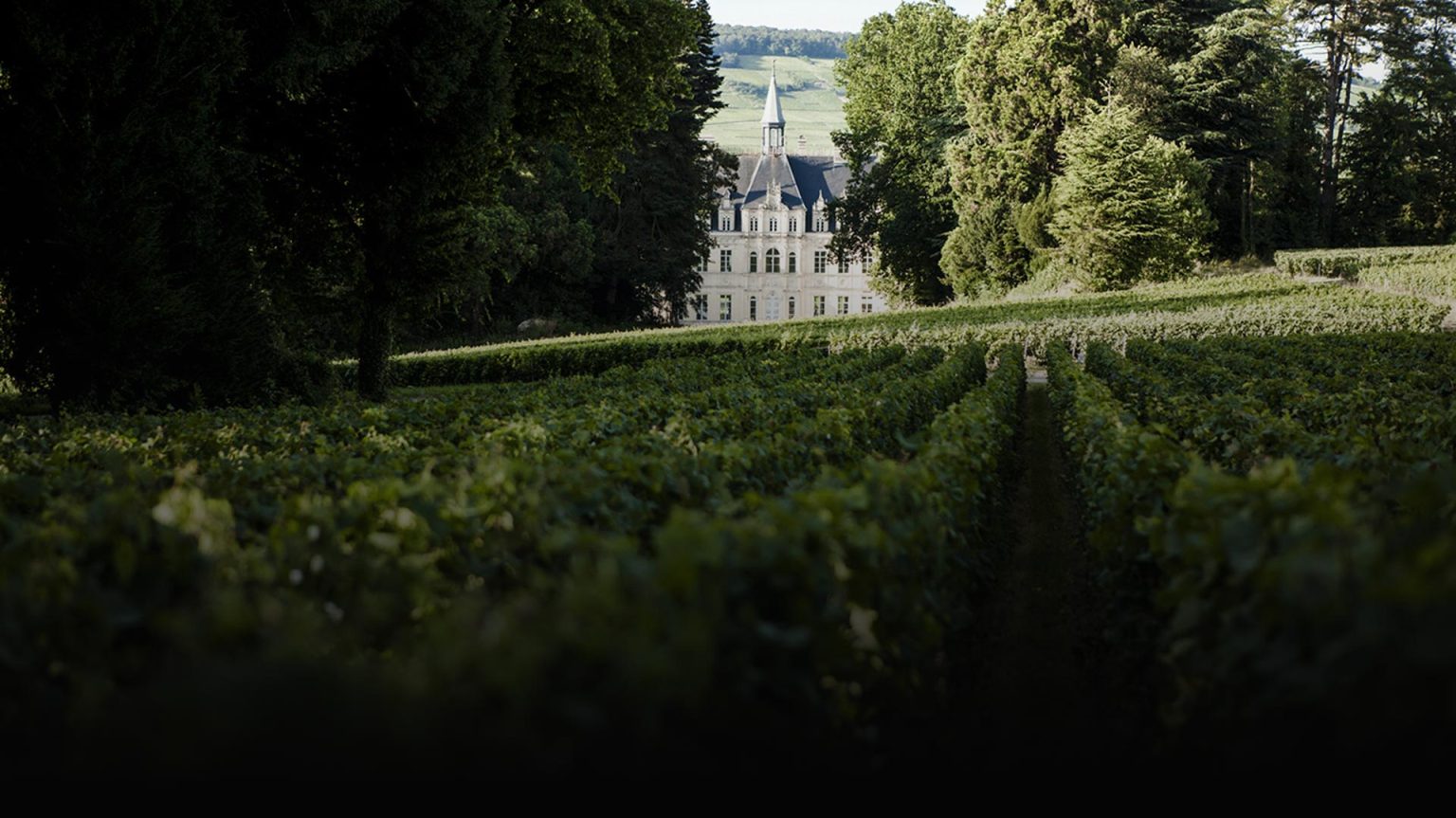 Le domaine | Champagne Château de Boursault